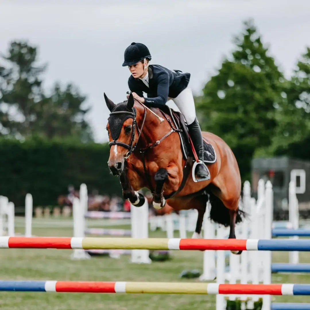 New Arrivals – Equus Elite